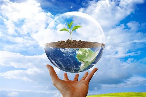 Energie rinnovabili sempre più italiani puntano all ecologia