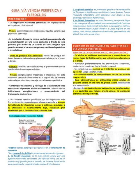 guia Vía Venosa Periférica y Fleboclisis LUISA DE LOS ANGELES uDocz