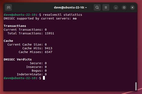 How To Flush DNS In Linux