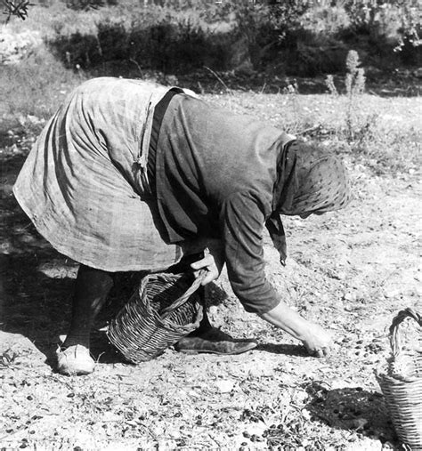 I Lavoro Nei Campi E A Contatto Con La Terra I Contadini Del Salento