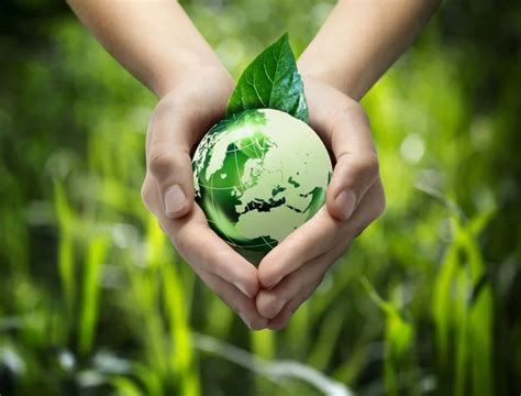 Ecoturismo qué es características y beneficios Naturalmente