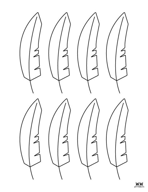 Turkey Feather Printable