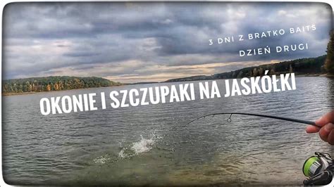 OKONIE I SZCZUPAKI NA JASKÓŁKI 3dni z Bratkobaits cześć 2 YouTube