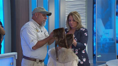 Watch Caso Cerrado Los Clásicos Episode Caso Cerrado José Ariel