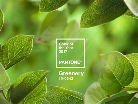Pantone S Color Of The Year Greenery Azprogroup