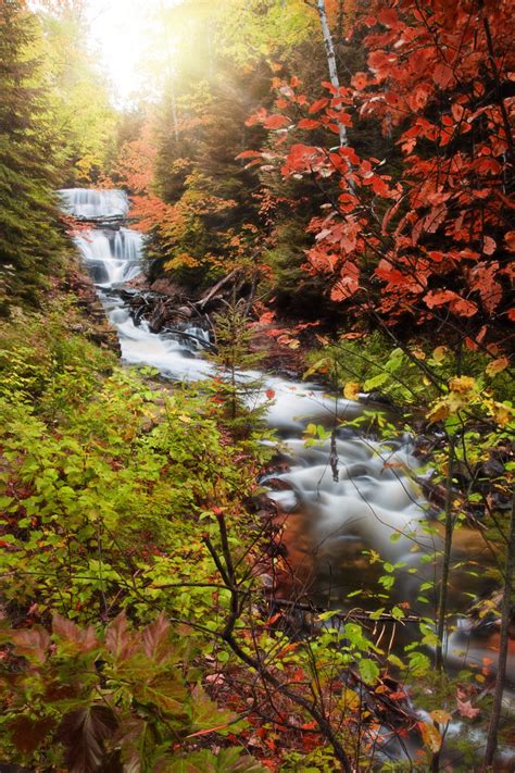 Fotos Gratis Paisaje Rbol Naturaleza Bosque Cascada Desierto