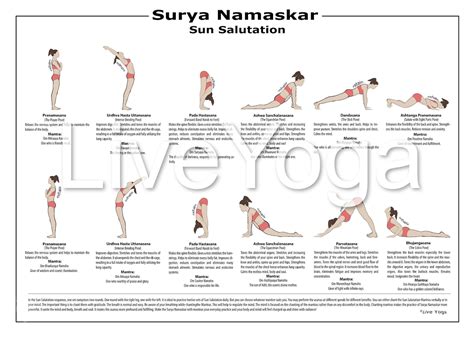 A4 Surya Namaskar Sequence Afiche Educativo Del Saludo Al Sol Afiche