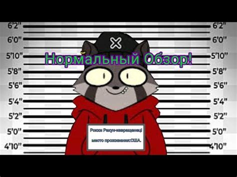 Настоящий обзор на Rocky Raccoon YouTube