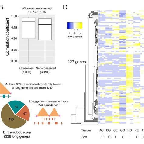 the role of tads in gene expression evolution and regulation of download scientific diagram