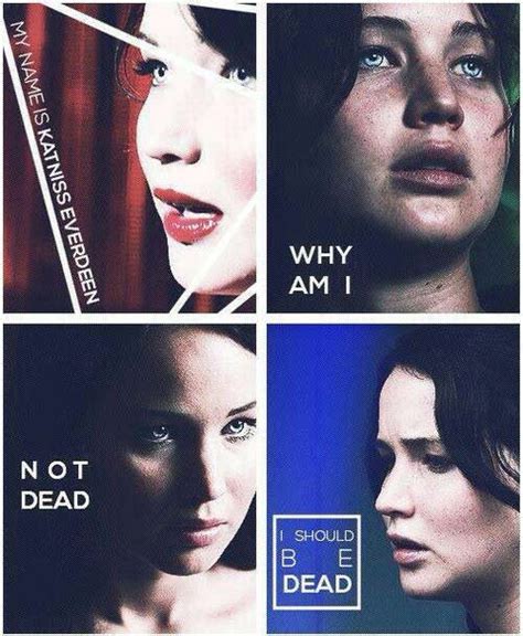 Katniss Hunger Games Theme Park The Hunger Games Books Hunger Games