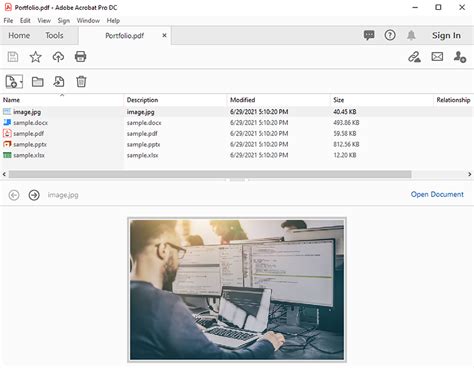 extract files from pdf portfolio in java