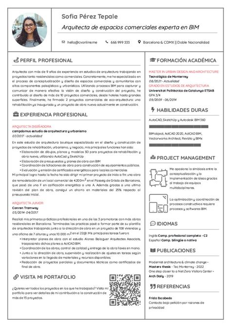 Total 67 Imagem Modelo De Objetivos Para Curriculo Br Thptnganamst