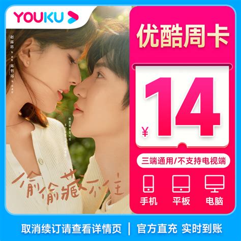 B B Bilibili Vip
