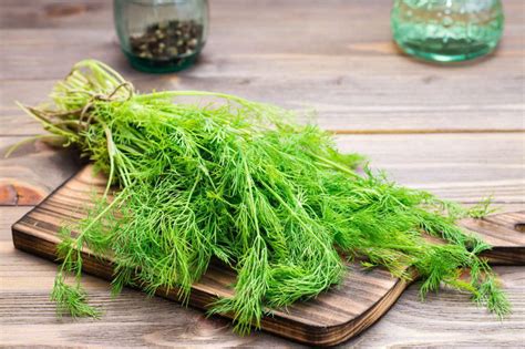 Kampion për vitamina zbuloni përfitimet e pazakonta shëndetësore të