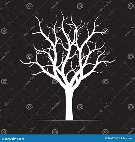 White Naked Tree Vector Outline Illustration Plant In Garden