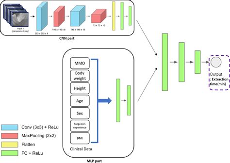 overview of the concatenated model consisting of cnn part and mlp part download scientific