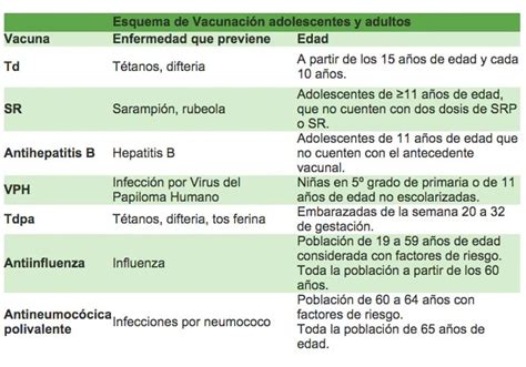 Qué importancia tiene la CARTILLA DE VACUNACIÓN Aquí todo lo que