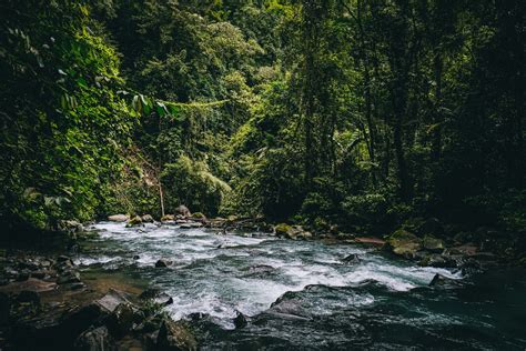 Explorando Los Parques Nacionales De Costa Rica