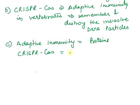 Solved A What Is Adaptive Immunity Describe How Adaptive Immunity