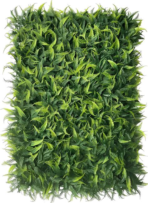 Placas De Samambaia Cheia X Jardim Vertical Artificial Amazon