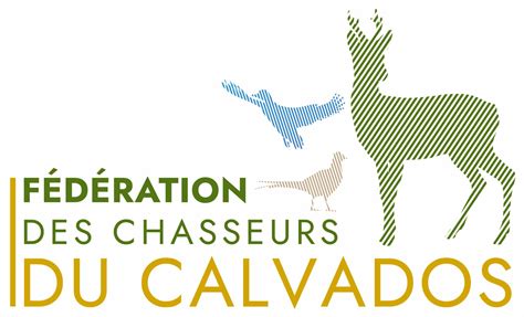 Validation Des Permis De Chasser 2024 2025 Ouverture Le 4 Juin 2024