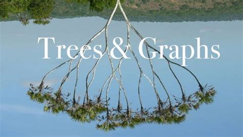 Trees Graphs