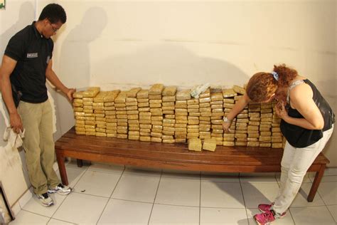 Polícia Civil recolhe 234 quilos de drogas a maior apreensão do ano