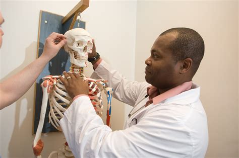 Female Vs Male Skeleton