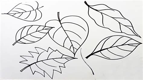 Draw various type of leaf Part 1 বভনন ধরনর পত অঙকন নর