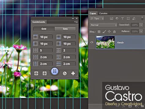 Gu As En Photoshop Plugin Para La Gesti N