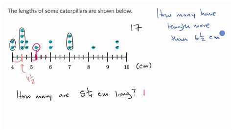 Line Plots With Fractions