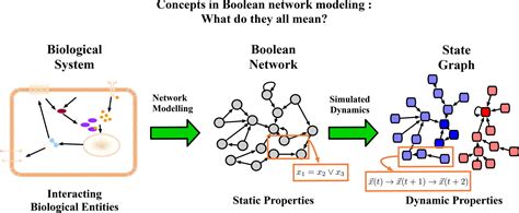 concepts in boolean network modeling what do they all mean computational and structural