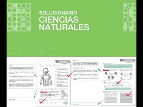Libros de Ciencias Naturales Resueltos Ministerio de Educación https