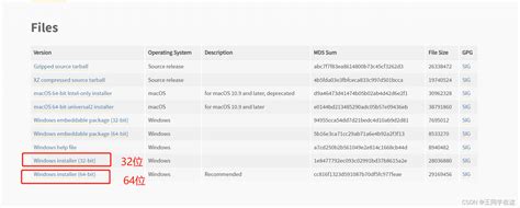 python selenium安装及环境配置手把手教会你 selenium环境 csdn博客