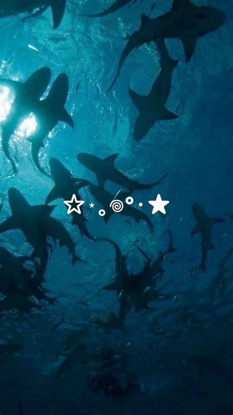 Pin by Kiara on Guardado rápido in 2024 Ocean wallpaper Ocean