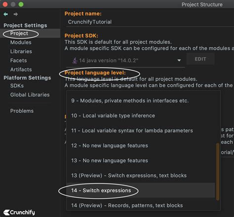 IntelliJ IDEA How To Set Latest Java SDK And Fix An Error Java