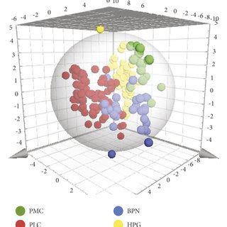 Three Dimensional Graphic Is Obtained After Statistical Analysis Of
