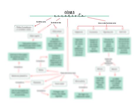 SOLUTION Mapa Mental De La Celula Eucariota Studypool