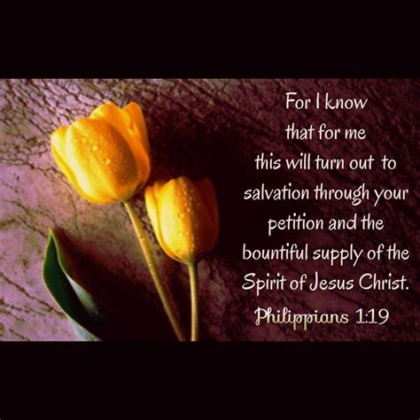 Philippians Bible Book Bible Words Prayer Warrior Busy Life