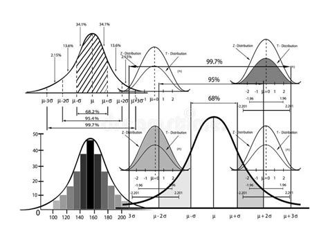 standard deviation diagram with sample size chart stock vector illustration of population