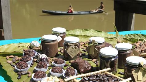 O Que Fazer Na Ilha Do Combu E Como Chegar Turismo De Natureza