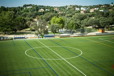 Organigrama De Un Club Deportivo