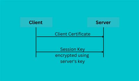 What Is Transport Layer Security Tls Coding Ninjas