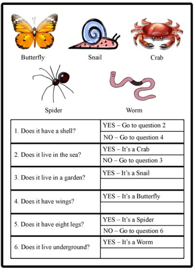Leaf Dichotomous Key Worksheet Answers