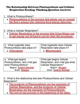 Relationship Between Photosynthesis And Cellular Respiration Read