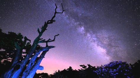 Leedusu Starry Night Time Lapse Youtube