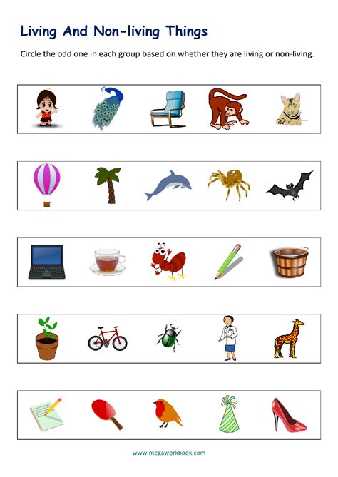 Living And Non Living Things Worksheets Characteristics Of