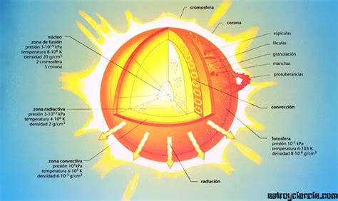 El sol y sus partes Conoce sus partes internas externas y más