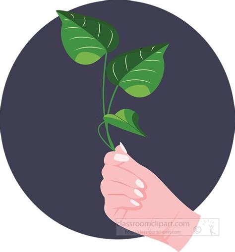 Hand Holding Plant Clipart