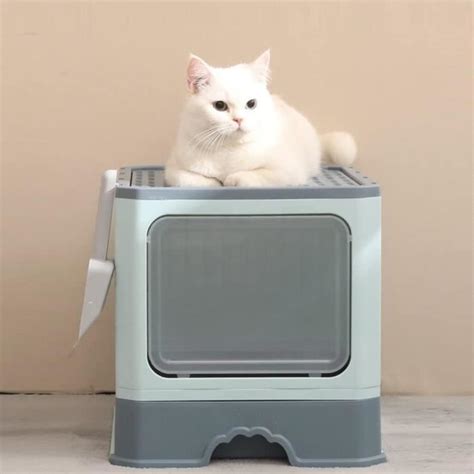 Bac à Litière Pliable pour Chaton avec Couvercle Maisons de Toilette